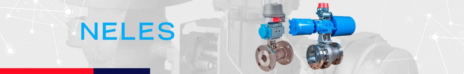 NELES – DMT TECHNOLOGY AND SERVICES